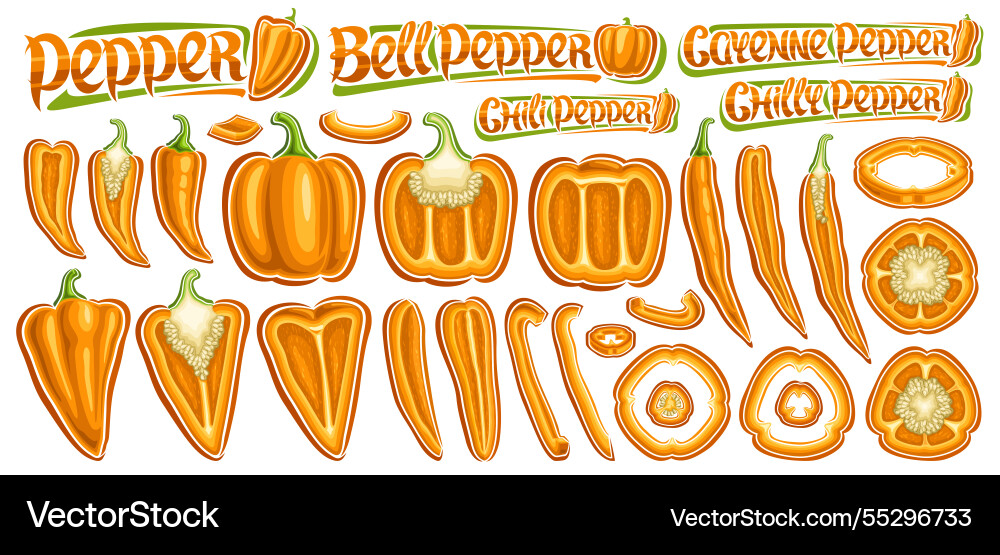 Orange pepper set (55296733) – Royalty-Free Vector | VectorStock