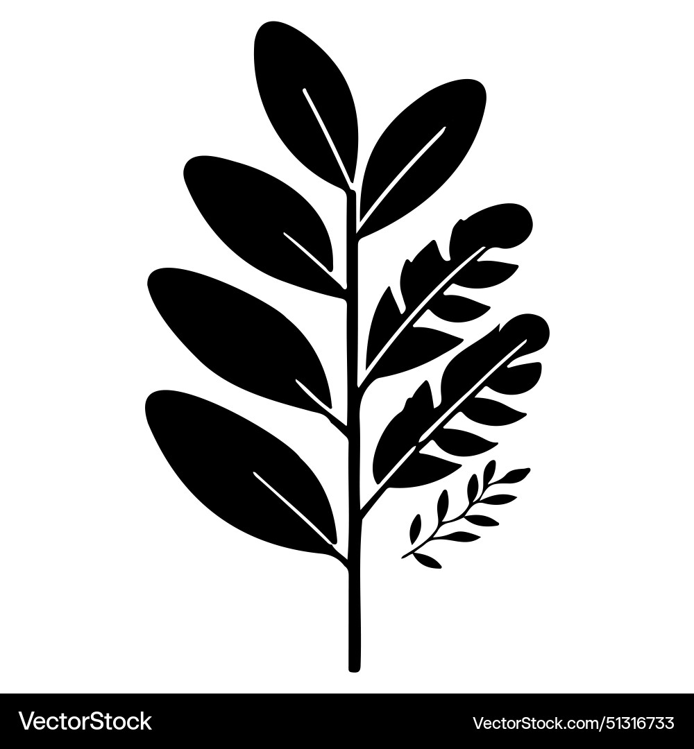 Parallel leaf plant floral sketch Royalty Free Vector Image