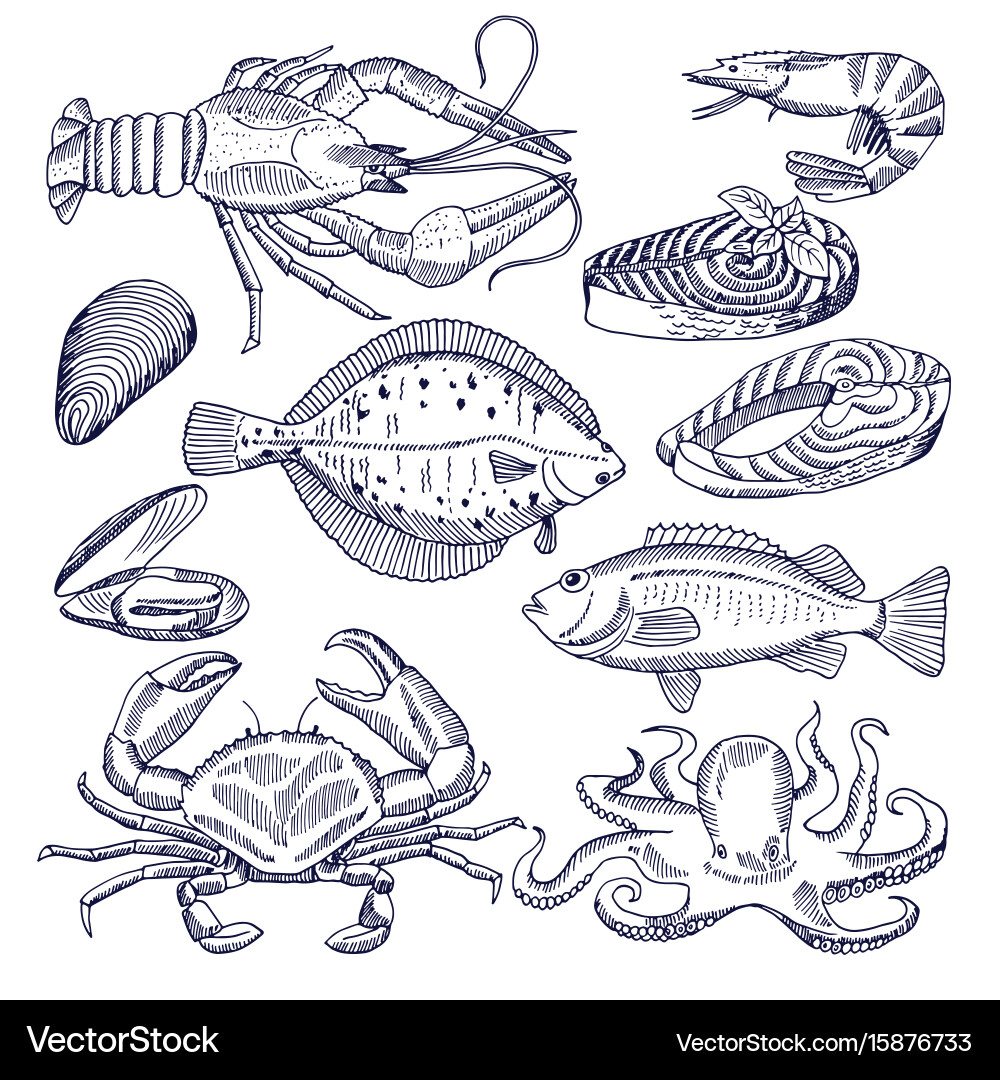 Sea food for restaurant Royalty Free Vector Image