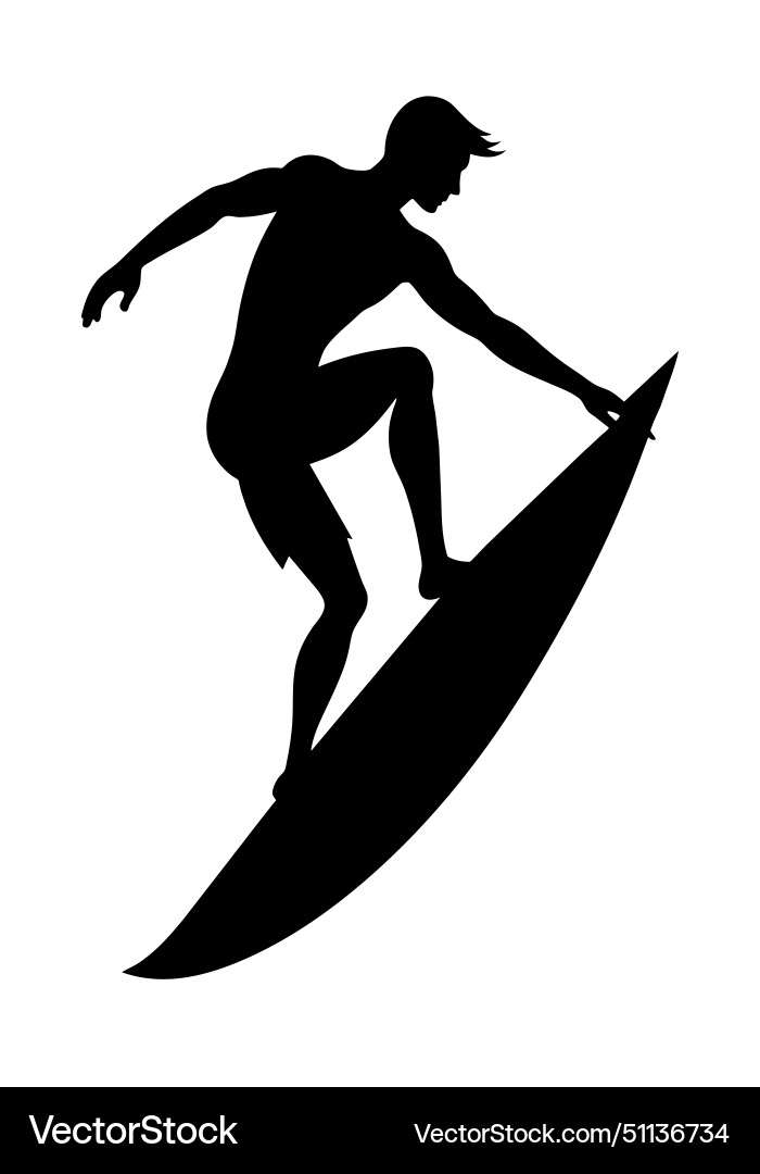 A high quality detailed silhouette of surfer Vector Image