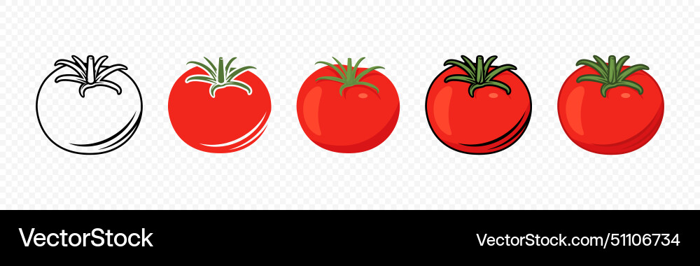 Flat fresh tomato icon set isolated whole Vector Image