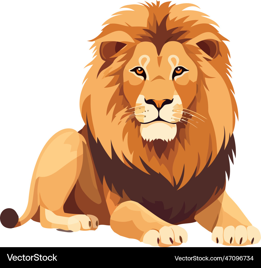 Majestic lion sitting on white background Vector Image