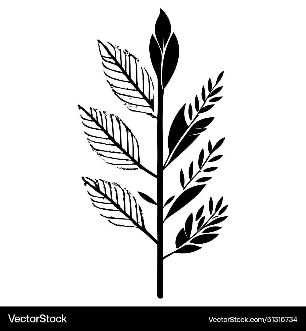 Parallel leaf plant floral sketch Royalty Free Vector Image