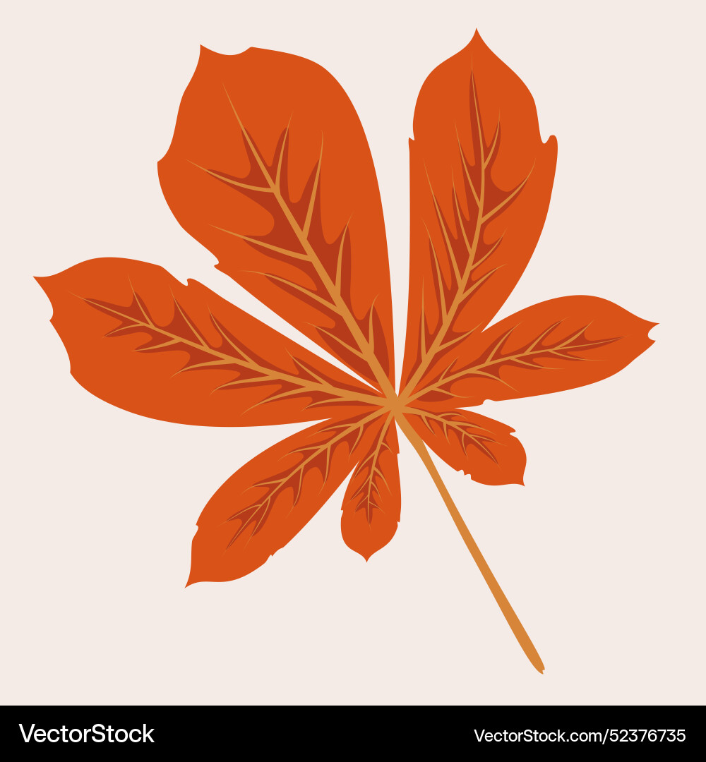 Autumn chestnut leaf decorative foliage Royalty Free Vector