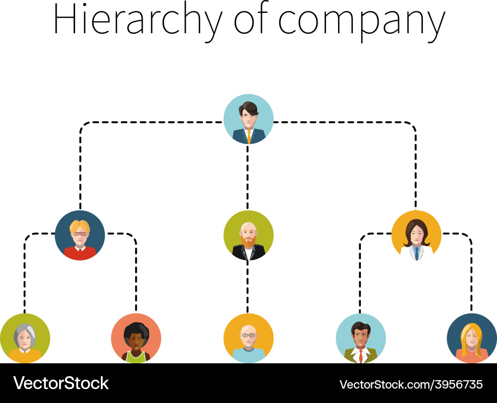 Company Hierarchy Chart Royalty Free Vector Image