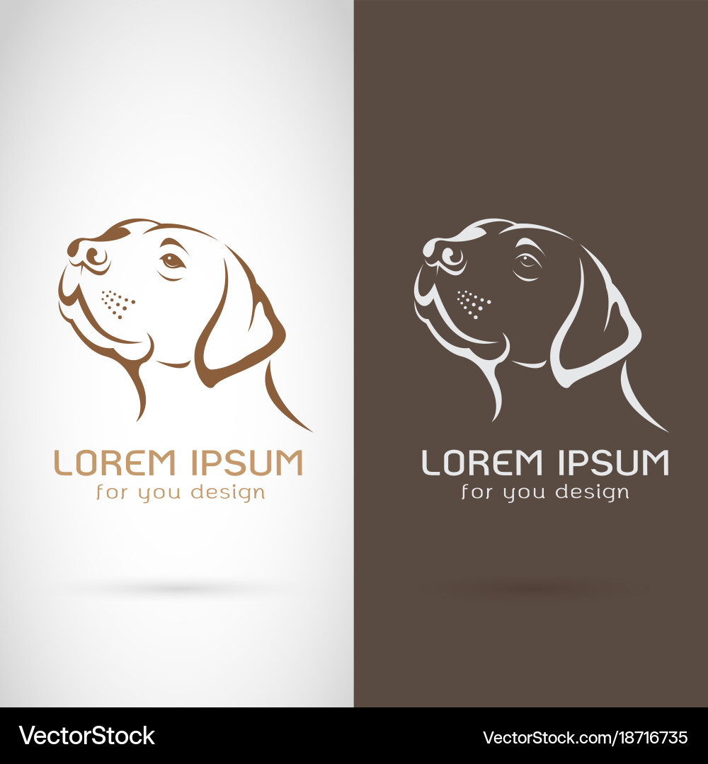 Dog head design on white background and brown Vector Image