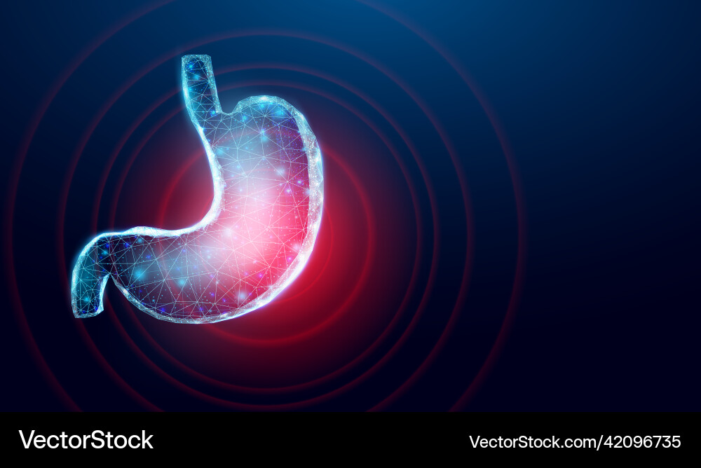 Human stomach pain wireframe low poly style Vector Image