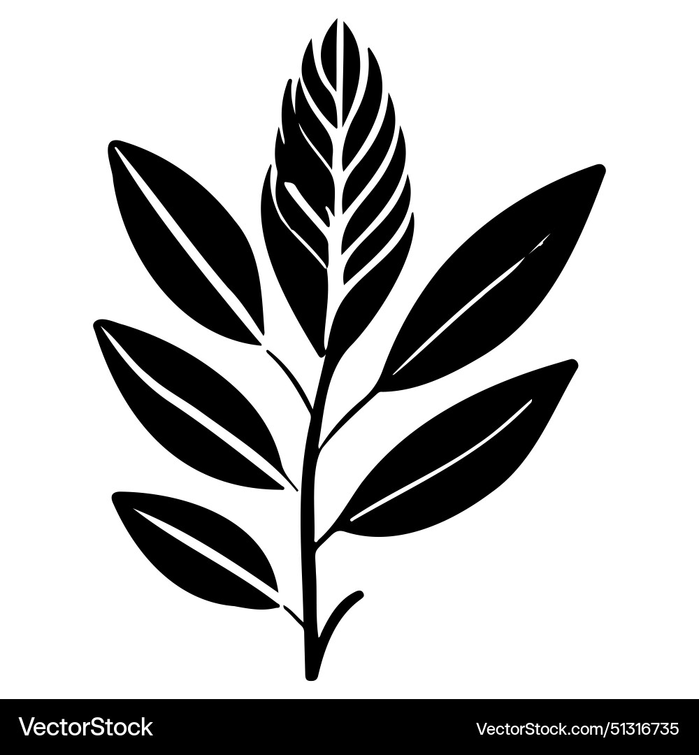 Parallel leaf plant floral sketch Royalty Free Vector Image
