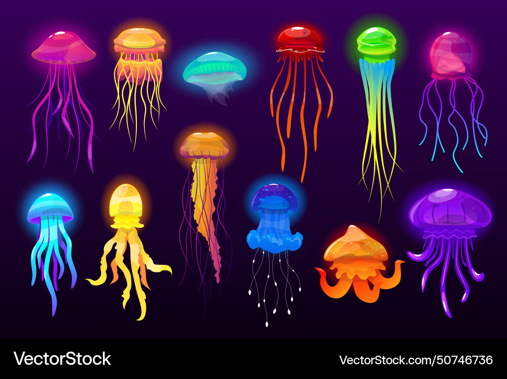 Color glowing jellyfish translucent jelly like Vector Image