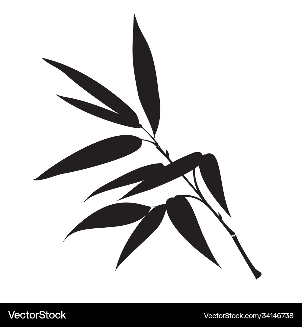 Decorative bamboo branches isolated on white Vector Image