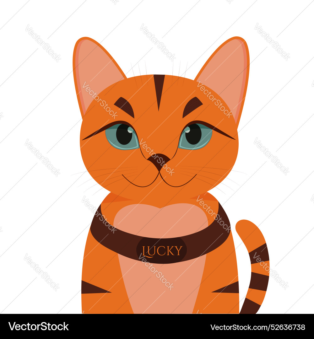 Ginger cat with blue eyes on white background flat