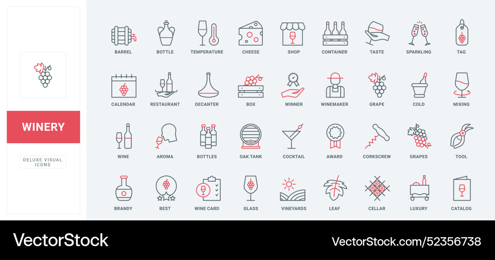 Winery making and testing grape wine storage Vector Image