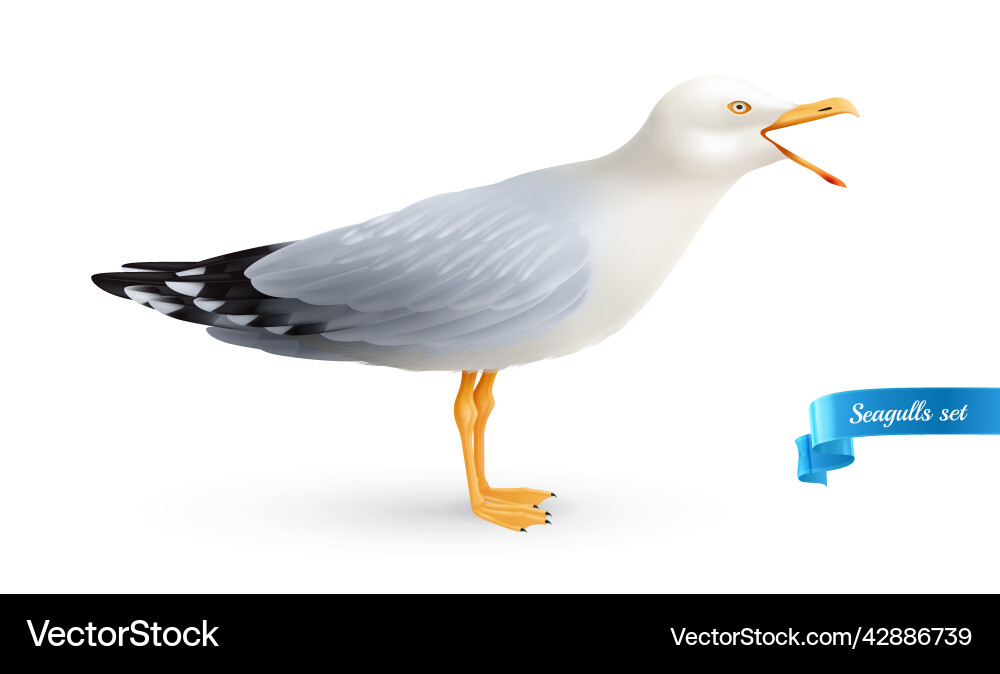 Crying seagull realistic composition Royalty Free Vector