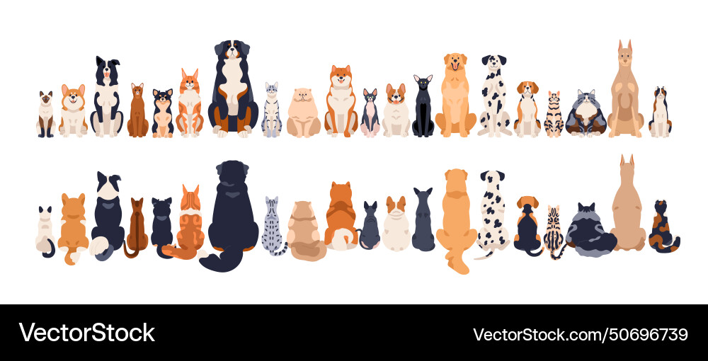 Dogs and cats front back rear views tails Vector Image