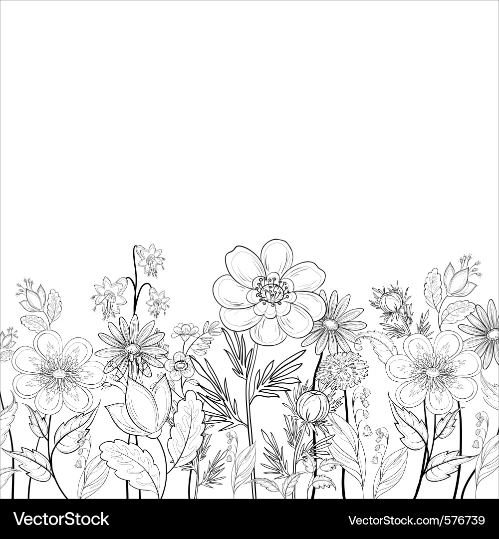 Floral Contour Background Royalty Free Vector Image
