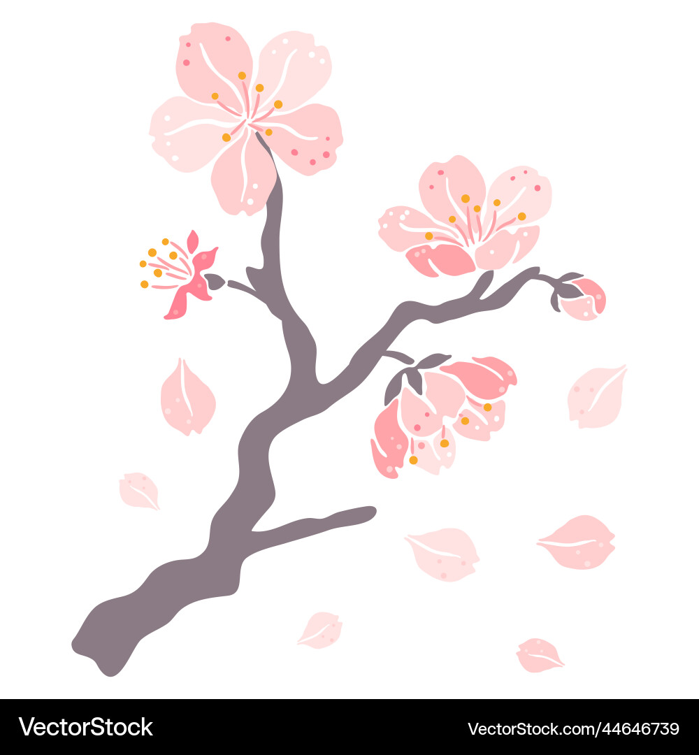 Sakura branch beautiful Royalty Free Vector Image