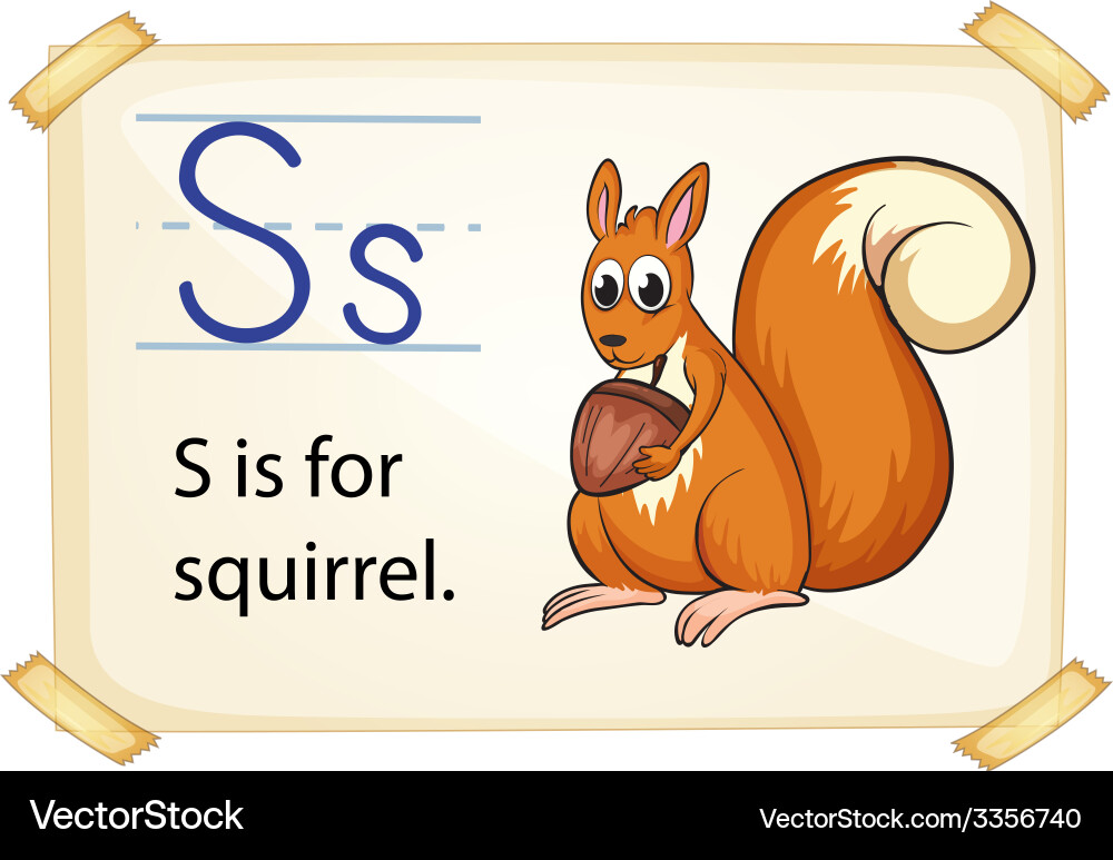 A letter s for squirrel Royalty Free Vector Image