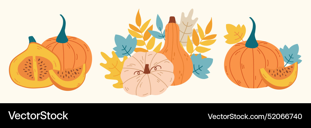 Autumn vegetables pumpkin composition set – Royalty-Free Vector ...
