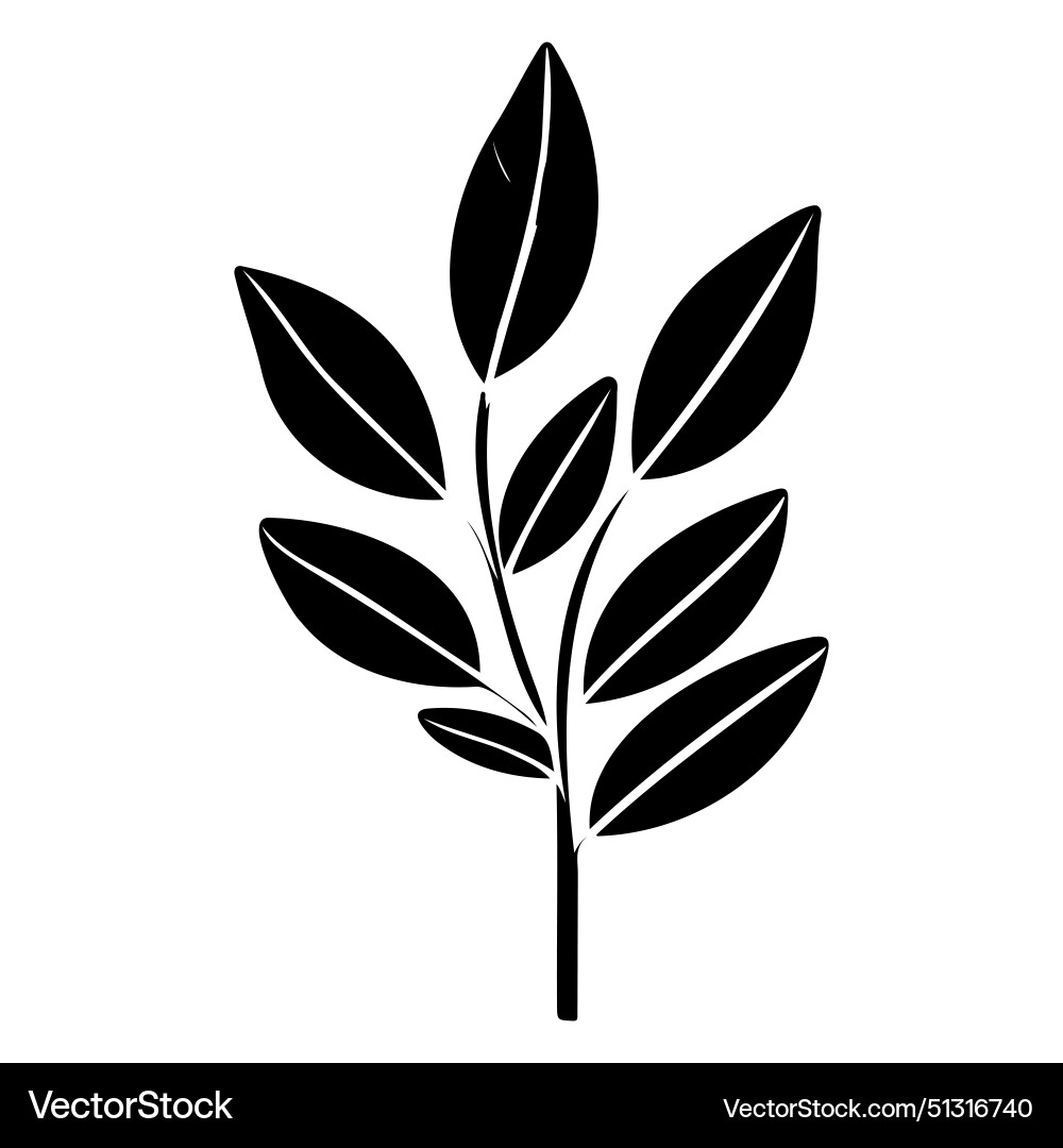 Parallel leaf plant floral sketch Royalty Free Vector Image