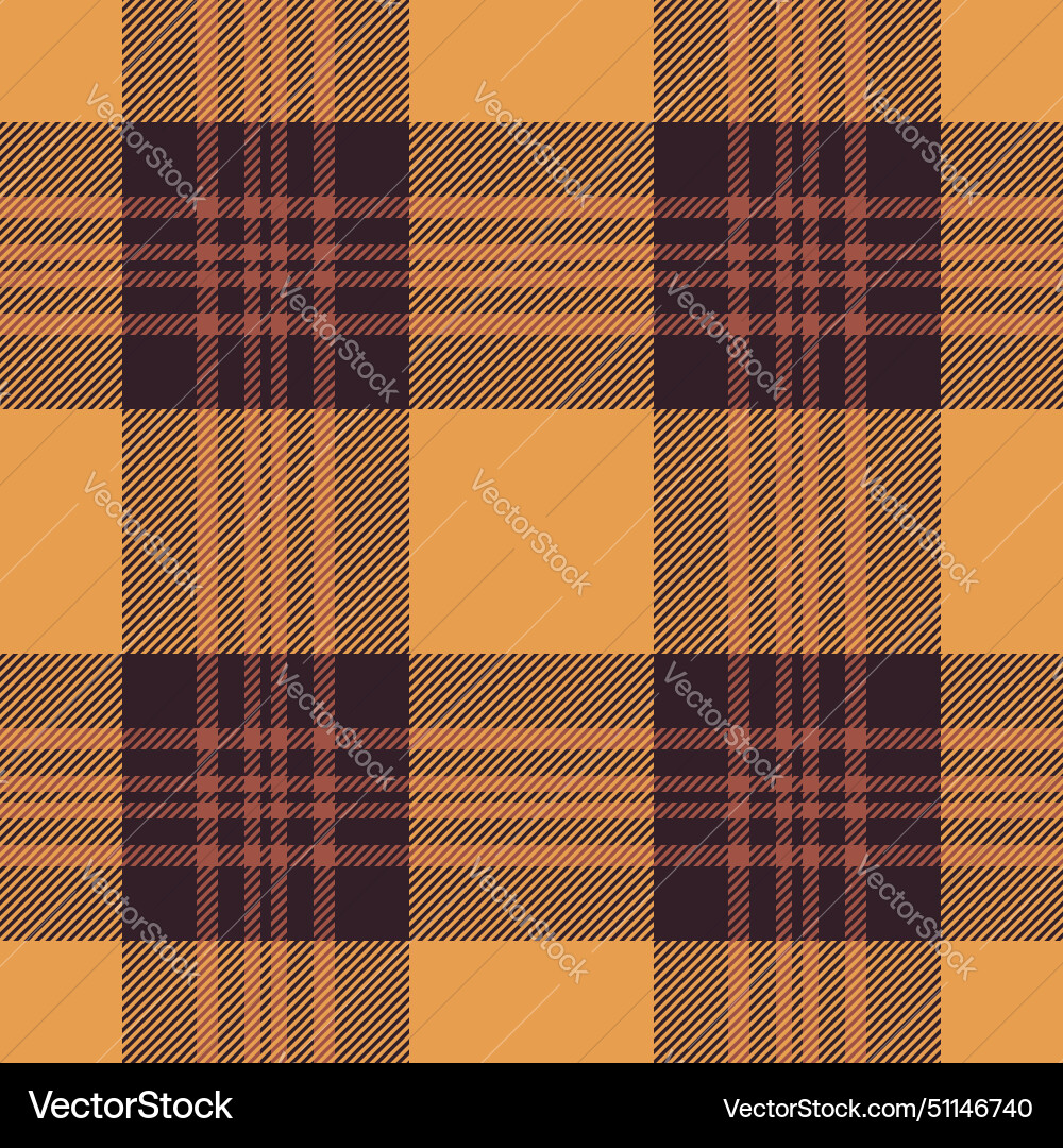 Tartan background check of fabric textile Vector Image