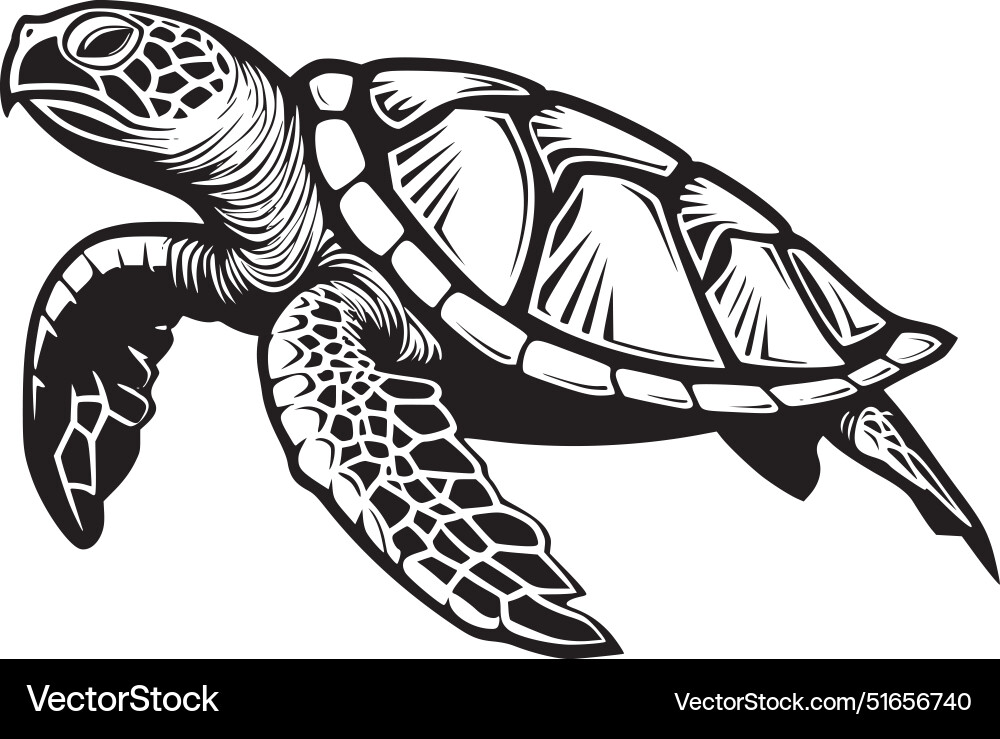 Turtle - minimalist and flat logo Royalty Free Vector Image