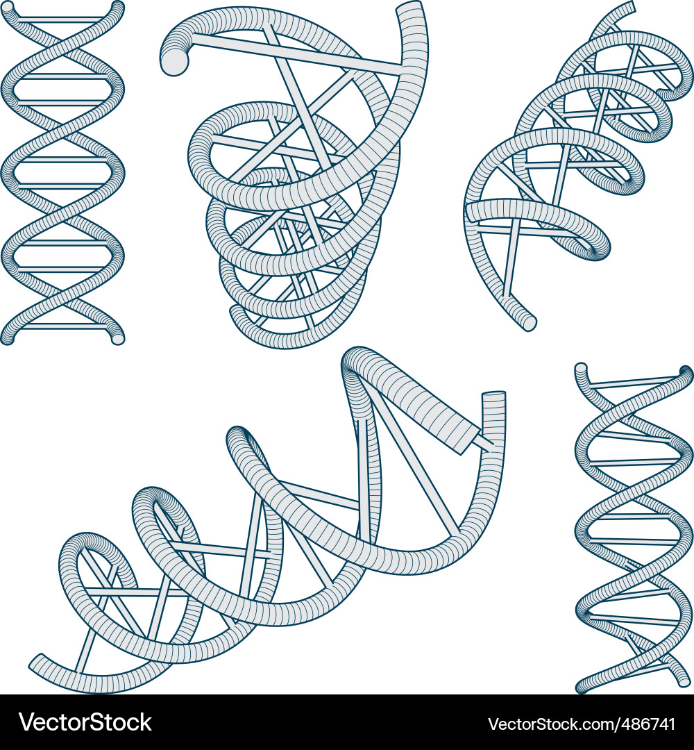 Dna symbols set Royalty Free Vector Image - VectorStock