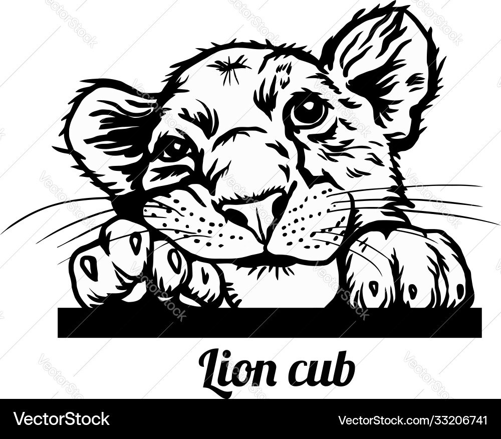 Funny Lion Cub Peeking Royalty Free Vector Image