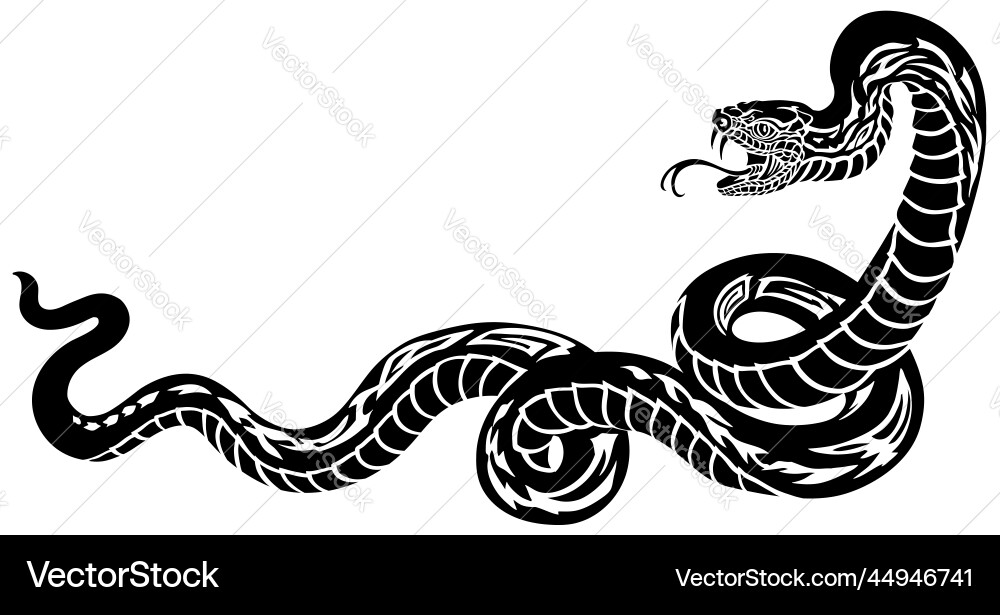 Poisonous snake in a defensive position silhouette