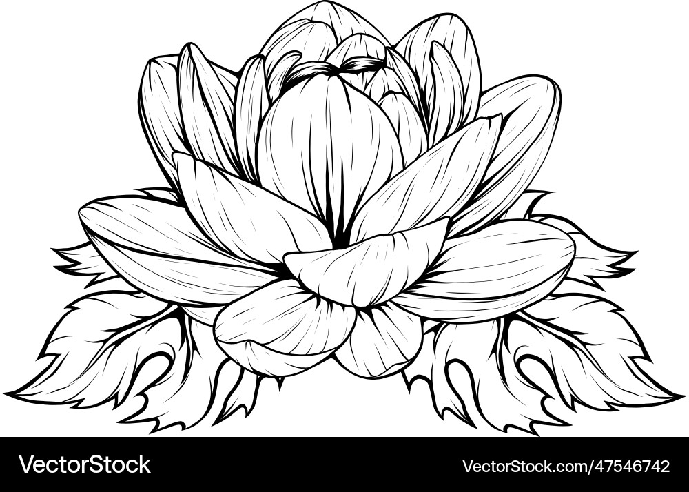 Lotus Flower Outline