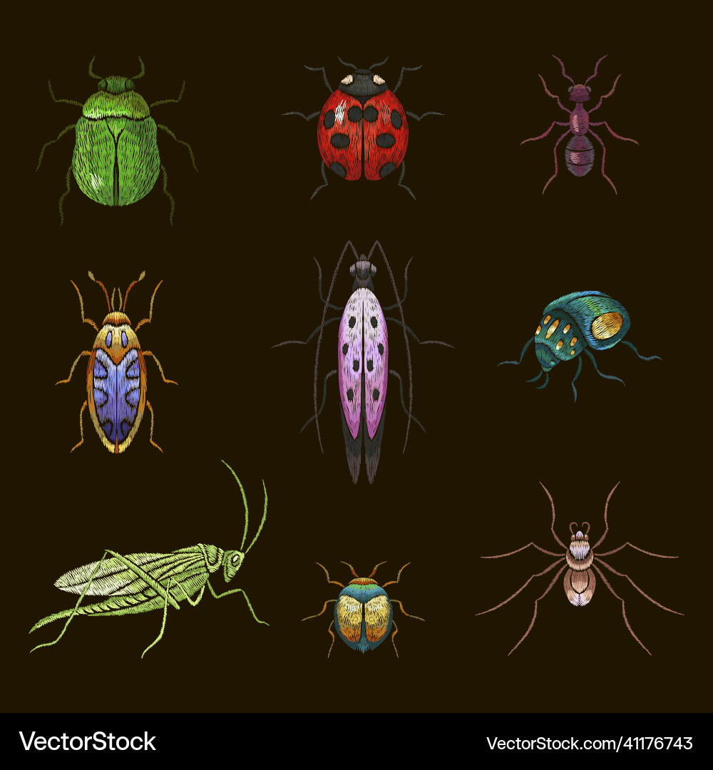 Insect stitch bug patch insects embroidery Vector Image