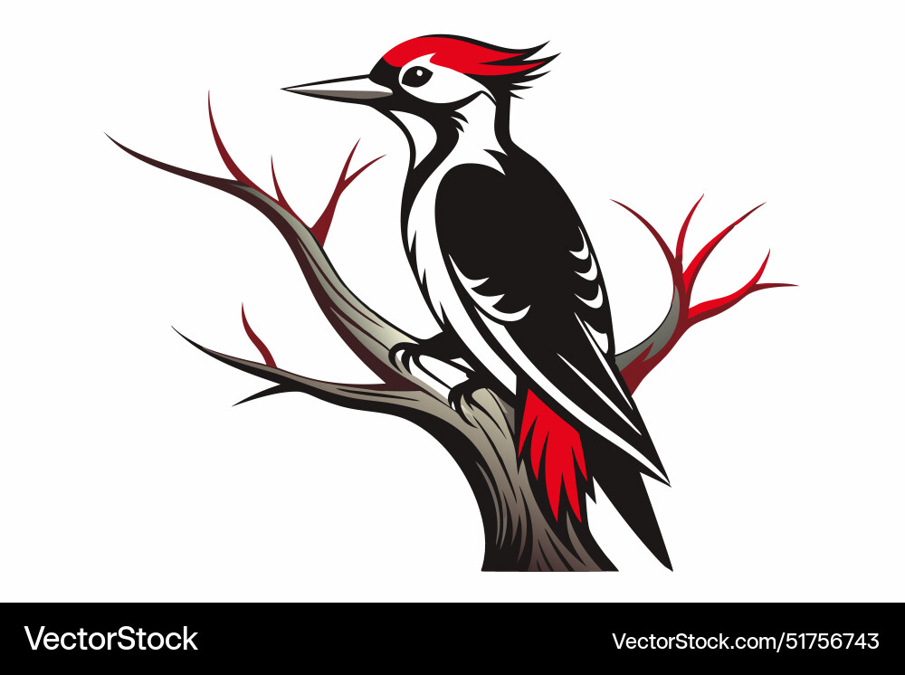 Woodpecker bird on the tree log Royalty Free Vector Image