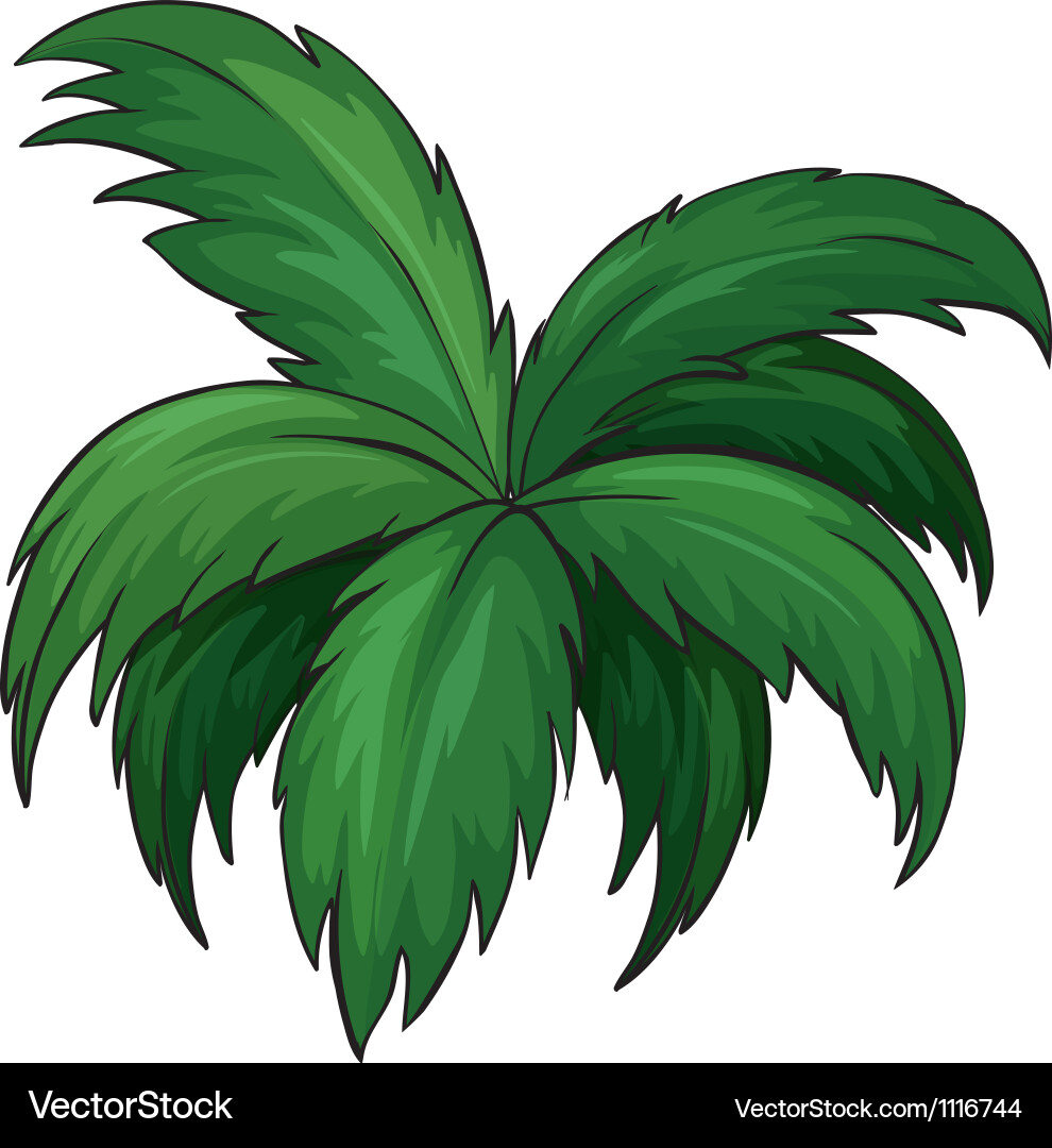 A plant Royalty Free Vector Image - VectorStock