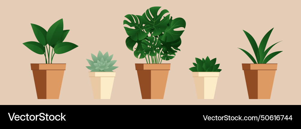 Flowers in pot isolated pastel background Vector Image