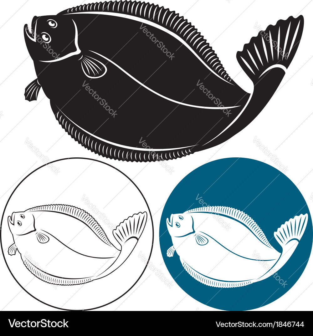 Halibut Royalty Free Vector Image - VectorStock
