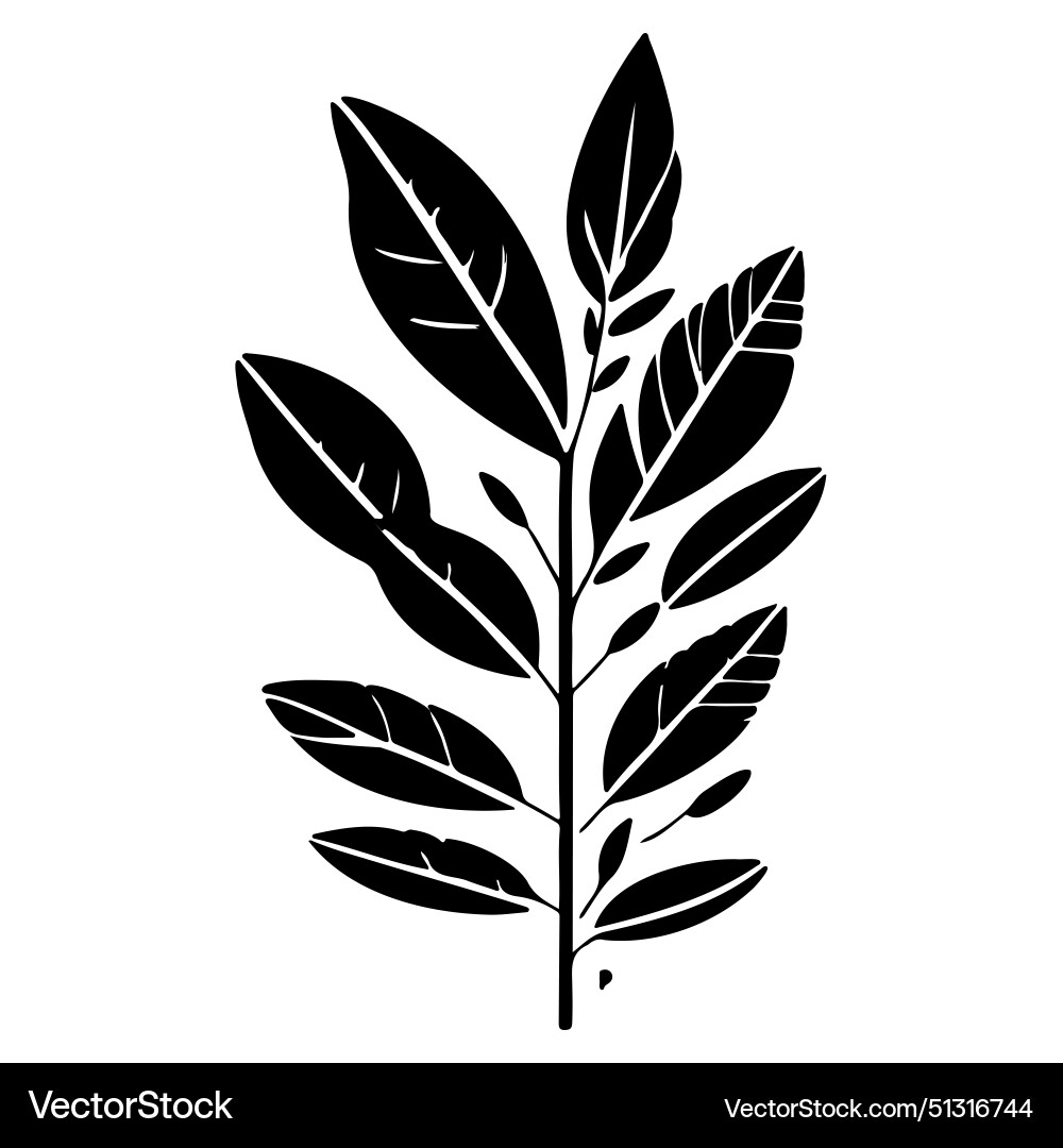 Parallel leaf plant floral sketch Royalty Free Vector Image