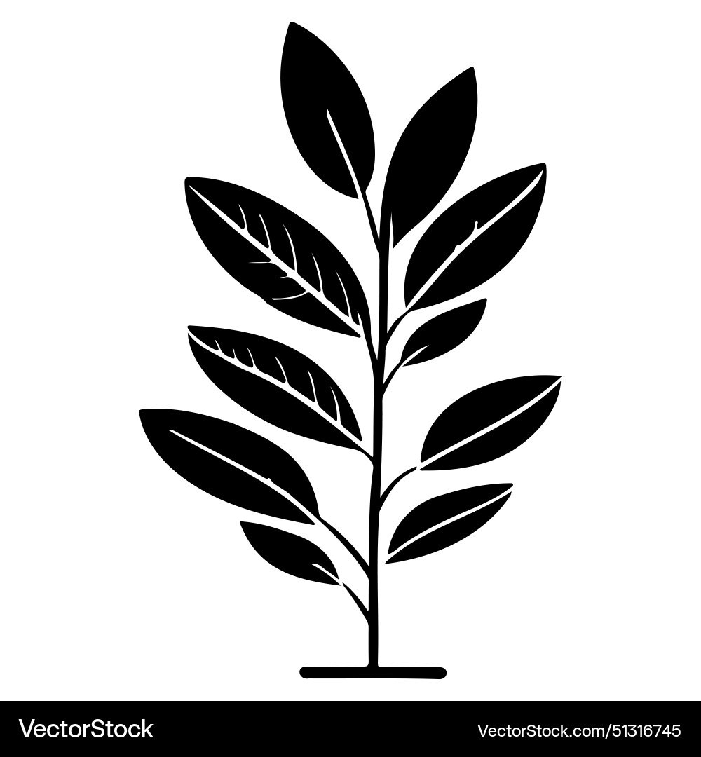 Parallel leaf plant floral sketch Royalty Free Vector Image
