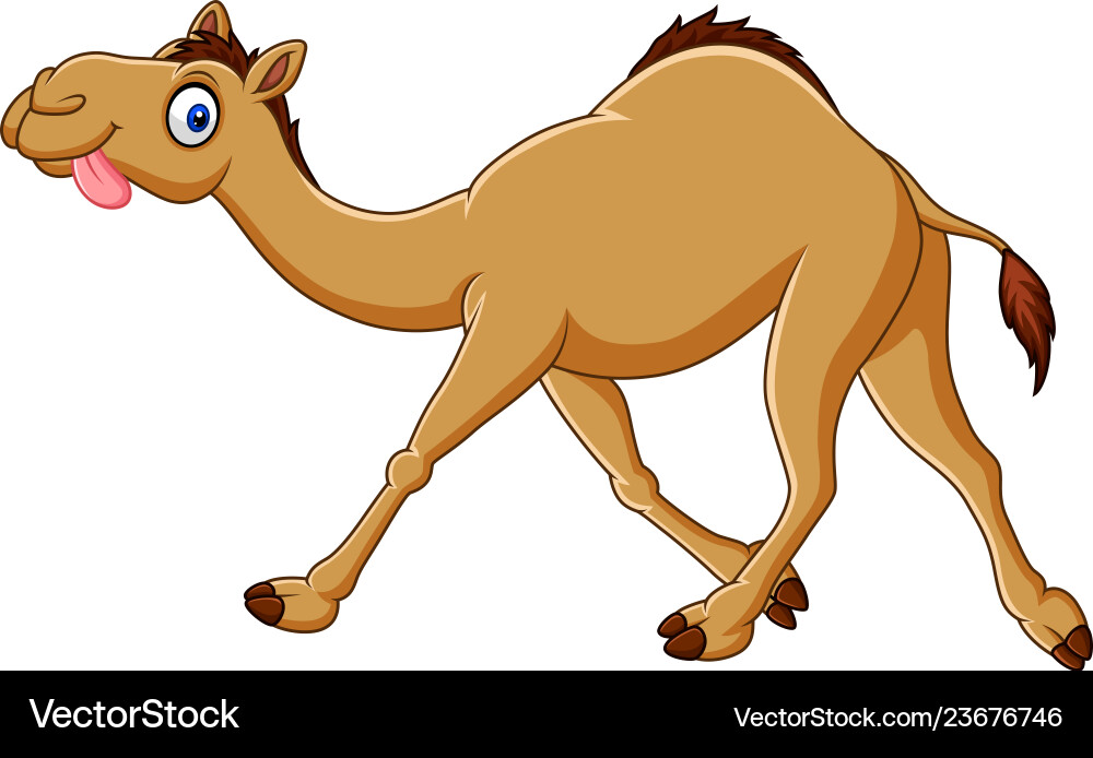 Cartoon funny camel running Royalty Free Vector Image
