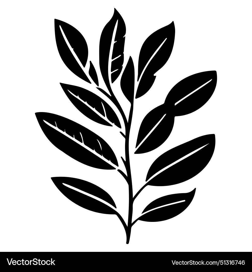 Parallel leaf plant floral sketch Royalty Free Vector Image