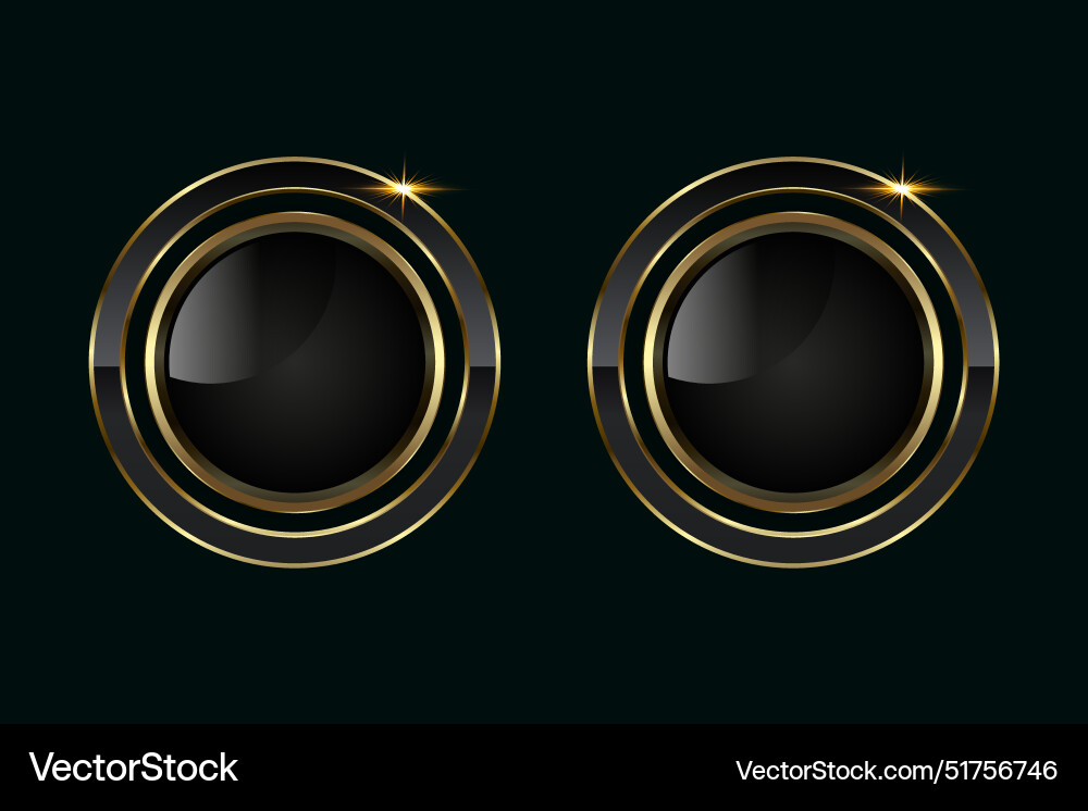 Set of two circles luxury button Royalty Free Vector Image