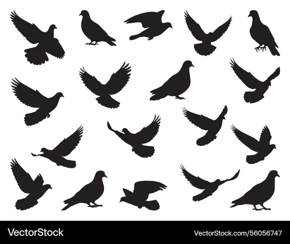 Dove silhouette Royalty Free Vector Image - VectorStock