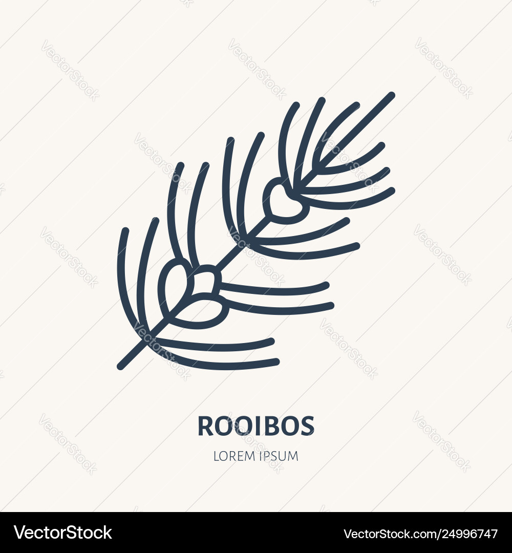 Rooibos Flat Line Icon - Herbal Tea Royalty Free Vector