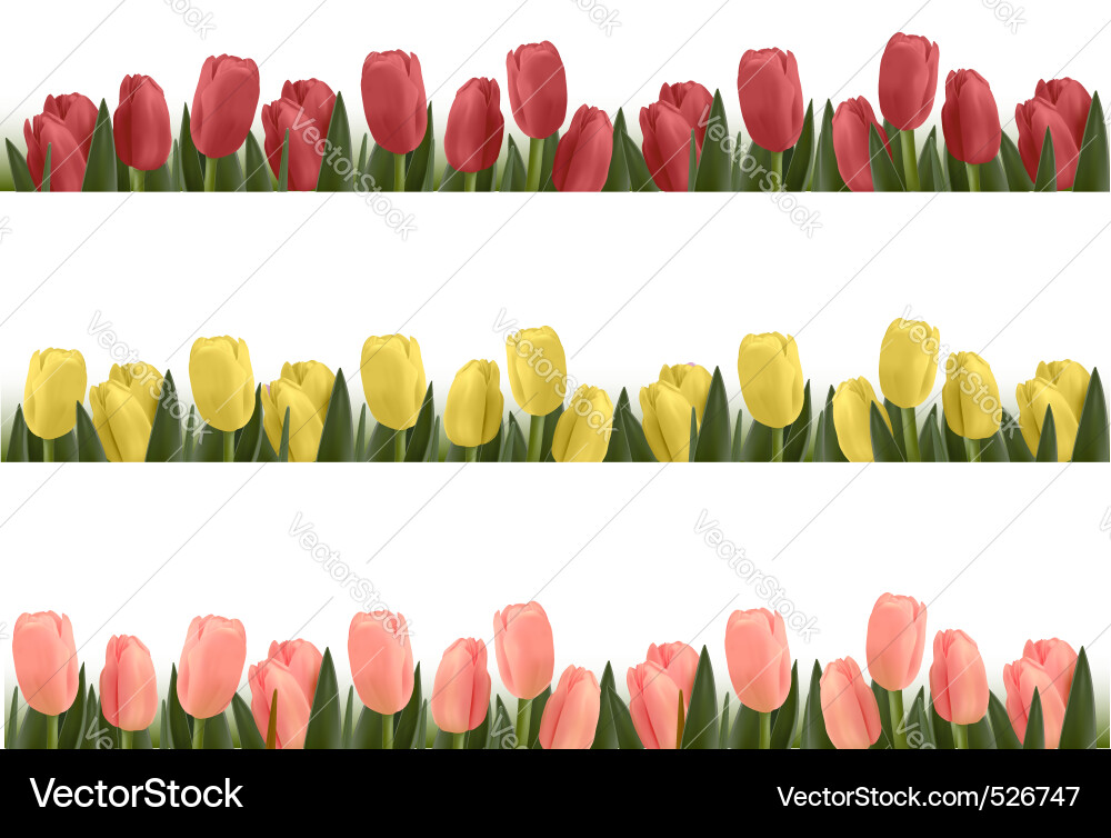 Tree flower design borders Royalty Free Vector Image