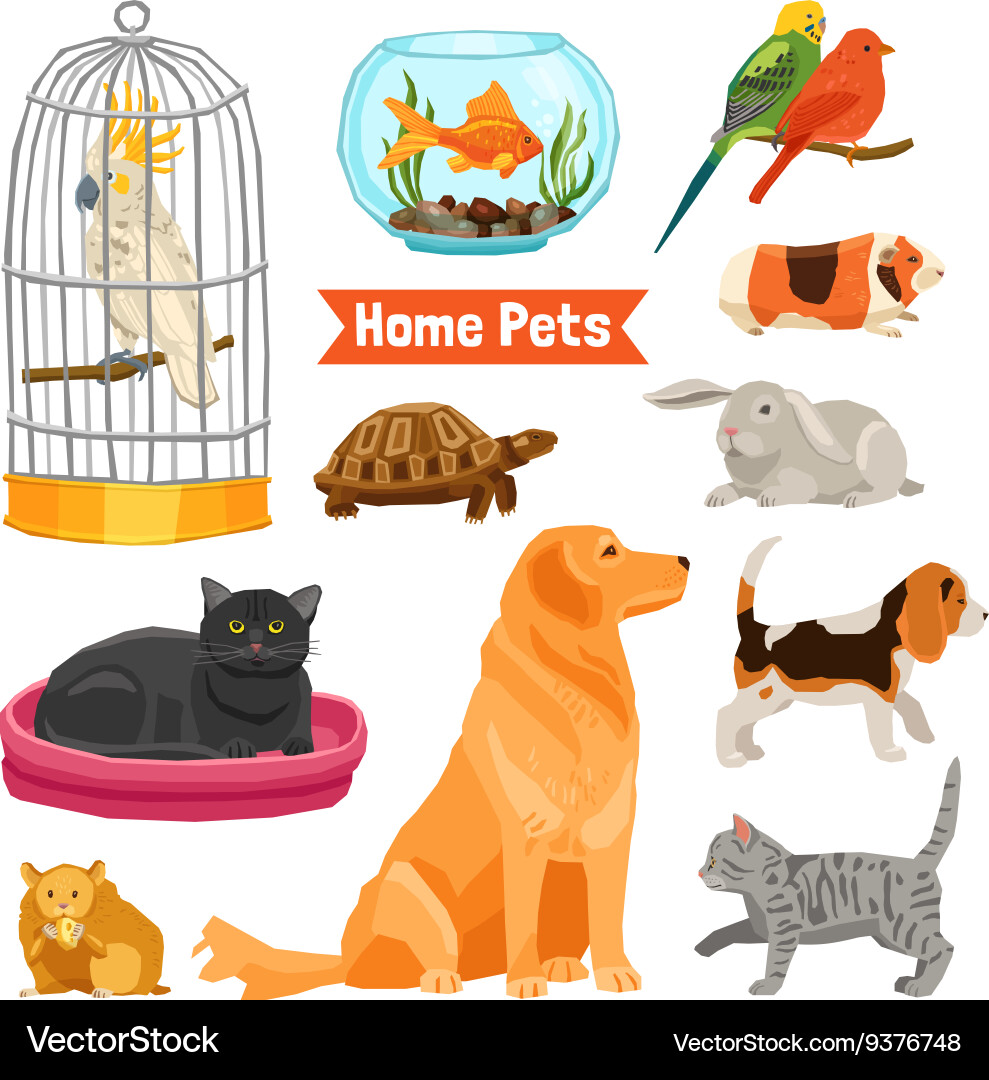 Home pets set Royalty Free Vector Image - VectorStock
