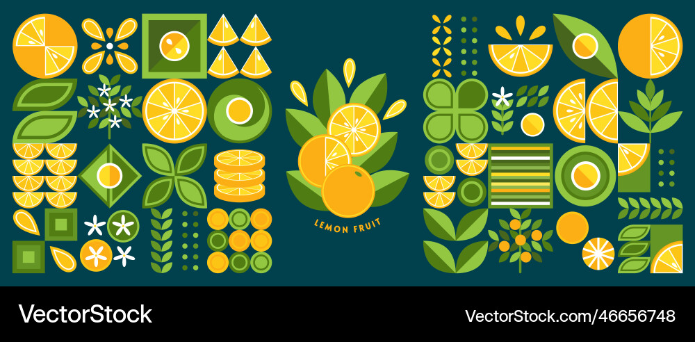 Lemon design elements in simple geometric style Vector Image