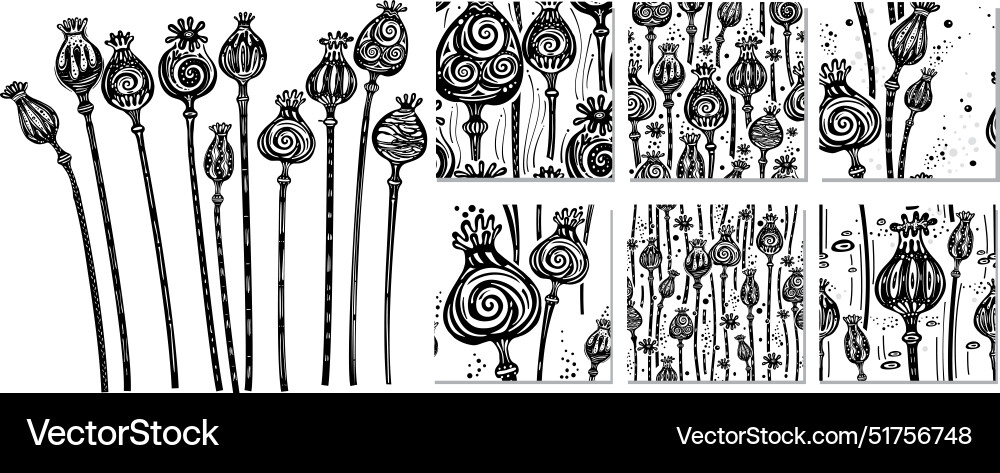 Poppy heads stencil and seamless patterns Vector Image