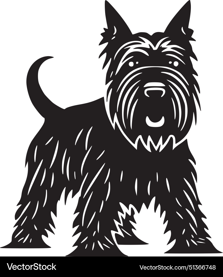 Scottish terrier - minimalist and simple Vector Image