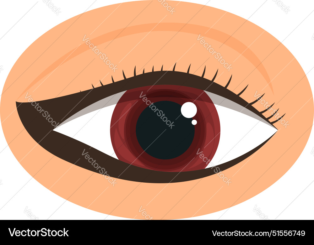 Female red eye staring showing eyelashes and Vector Image