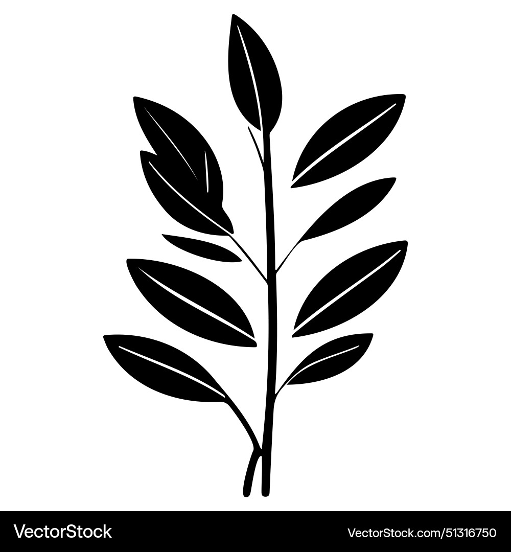 Parallel leaf plant floral sketch Royalty Free Vector Image