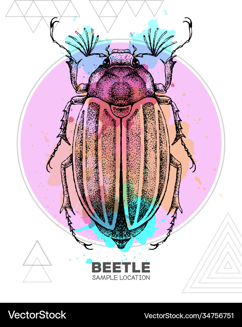 June Bug Vector Images (over 390)
