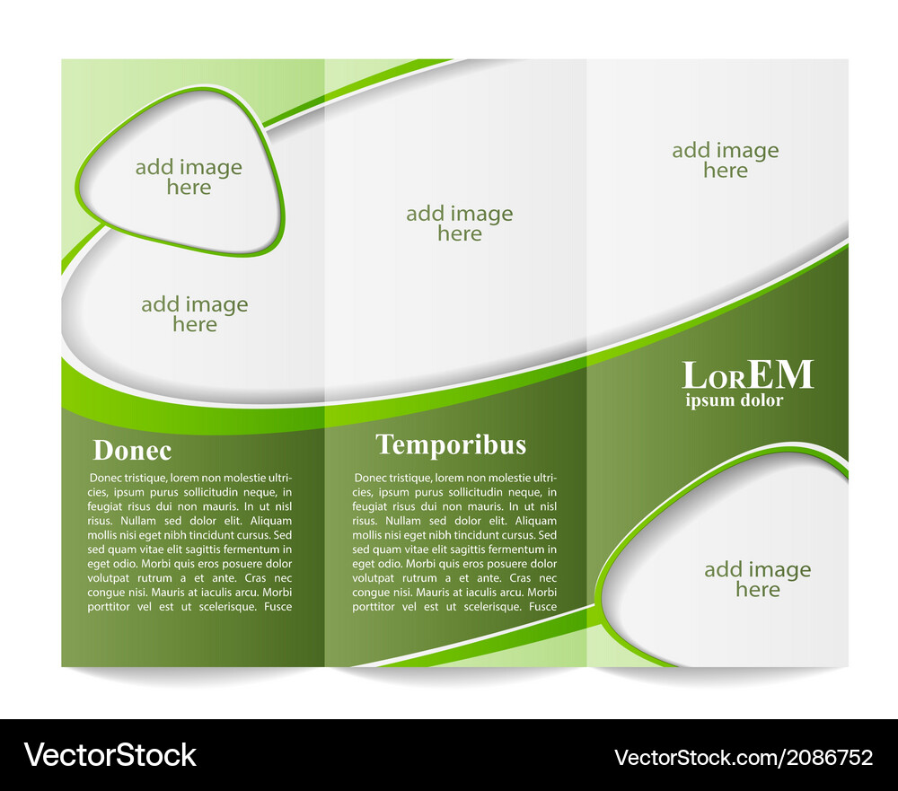 Modern Tri-Fold Brochure Template Royalty Free Vector Image